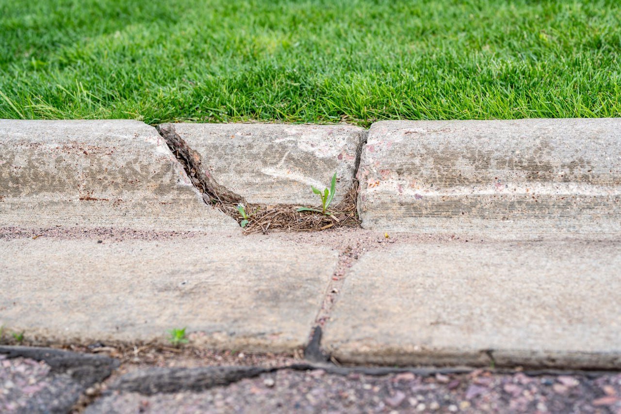 Ultimate Guide To Concrete Garden Edging NZ