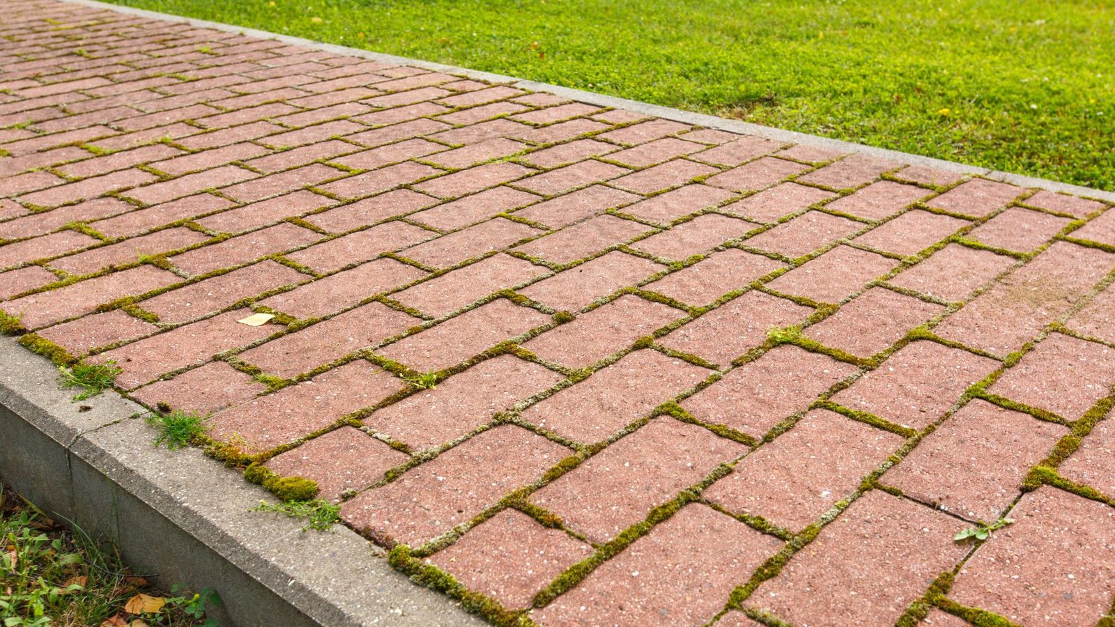 Ultimate Guide To How To Lay Paving Slabs On Grass