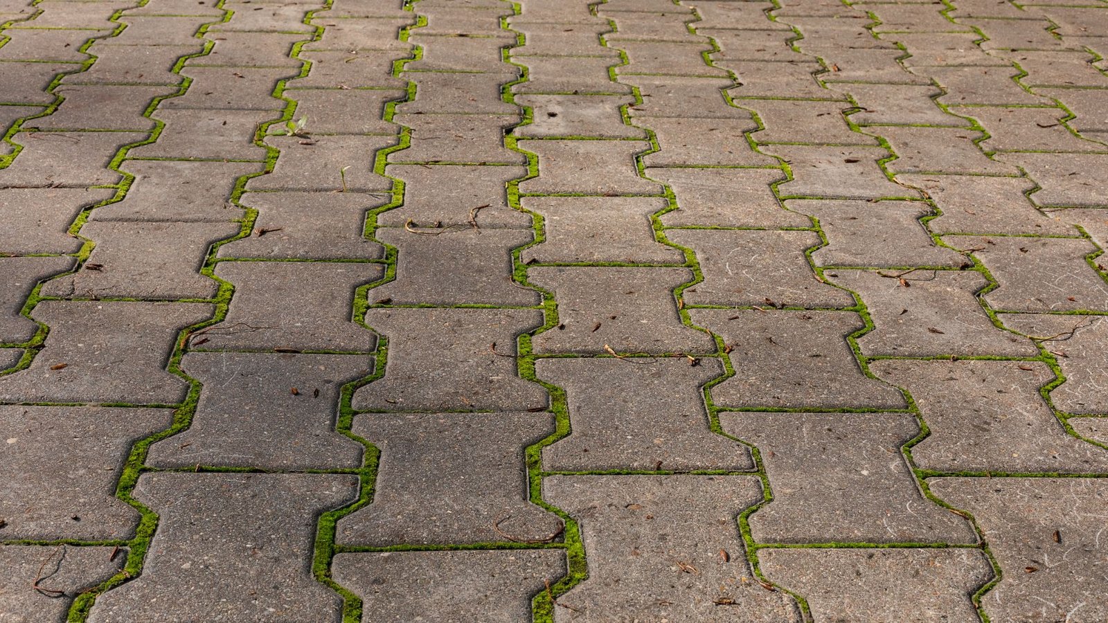 Ultimate Guide To How To Lay Paving Slabs On Grass