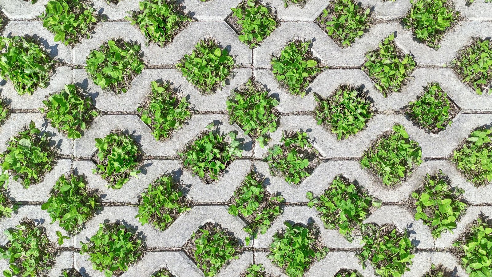 Ultimate Guide To How To Lay Paving Slabs On Grass